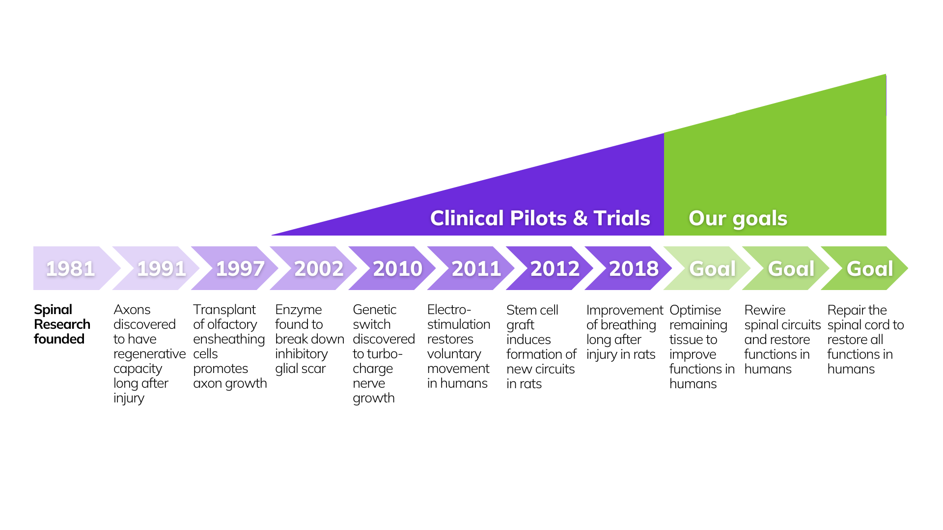 Who we are - Spinal Research
