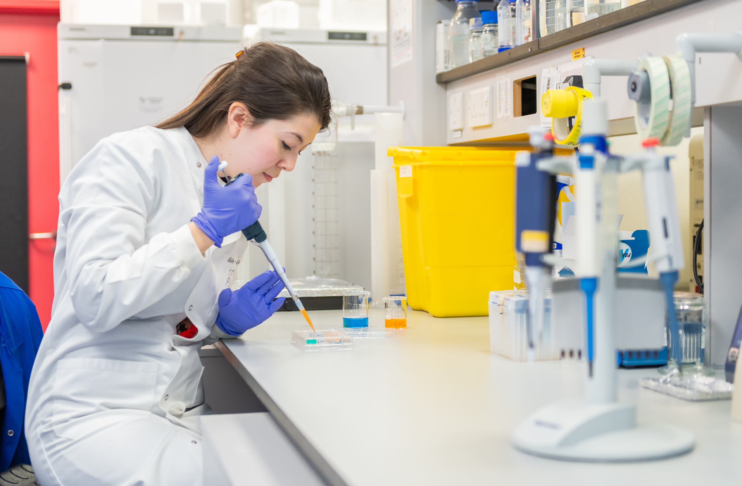 Building a future in SCI research - Spinal Research