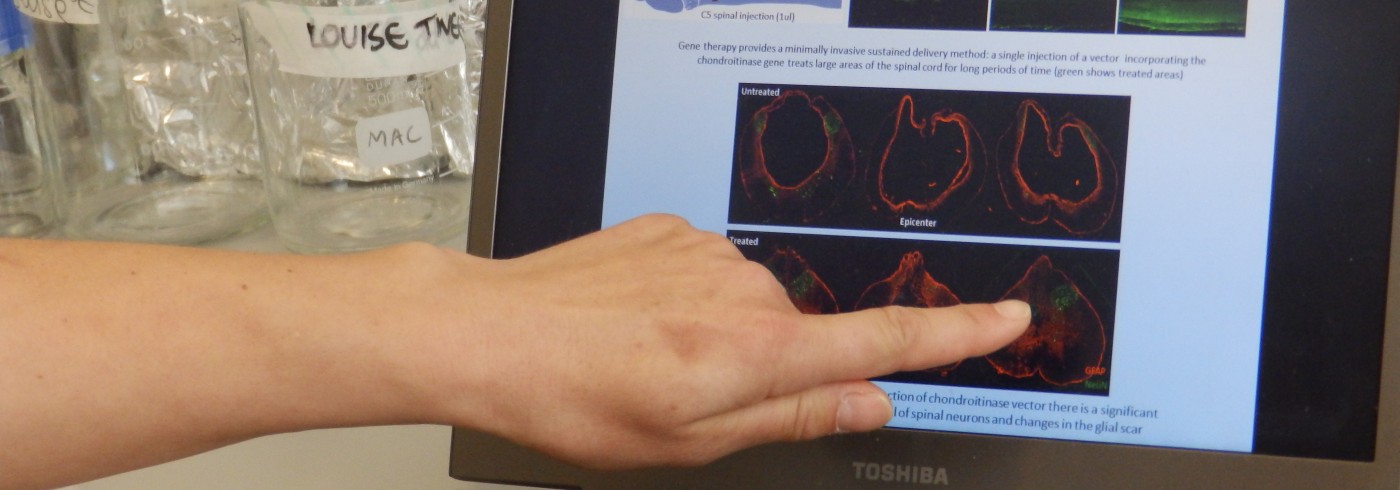 Maria Germann - Spinal Research